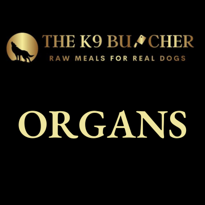 Organ – The K9 Butcher